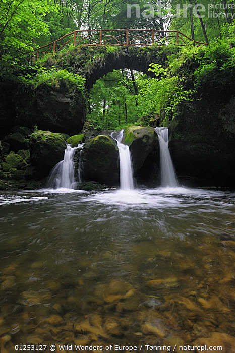 Wallpaper Mullerthal Luxembourg Waterfall