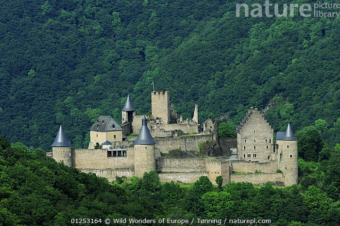 Stock photo of Bourscheid Castle, Oesling, Ardennes, Luxembourg, May ...