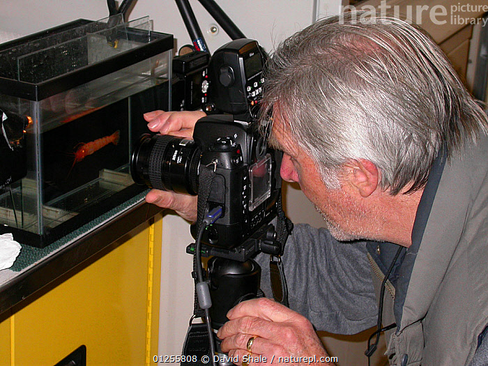 Stock photo of Photographer and cameraman David Shale photographing ...
