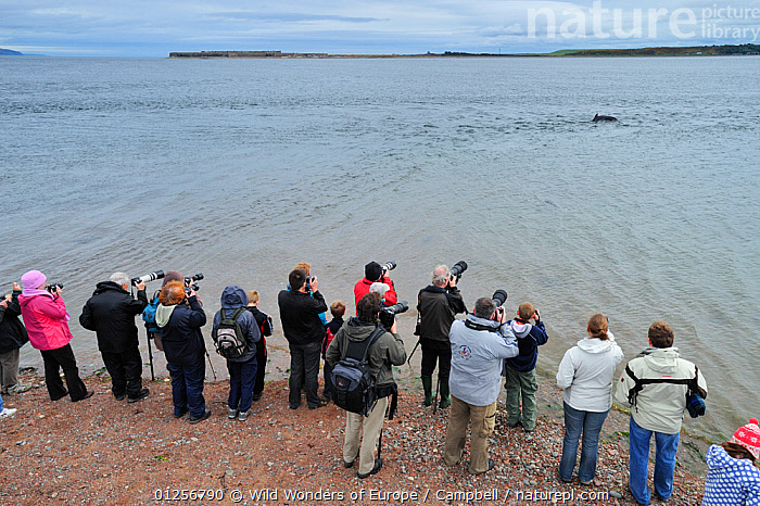 Stock photo of Visitors and local people gathering to watch and ...