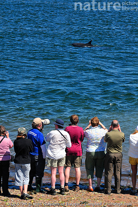 Stock photo of Rear view of visitors and local people watching ...
