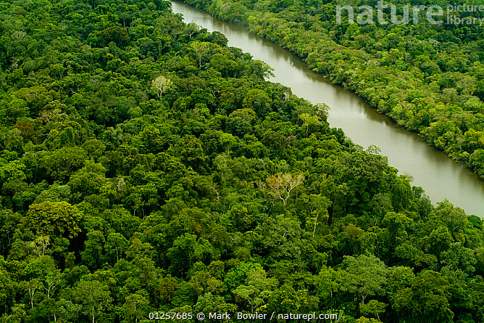 Stock photo of Aerial view of Yavari River and Amazon Rainforest, Peru ...