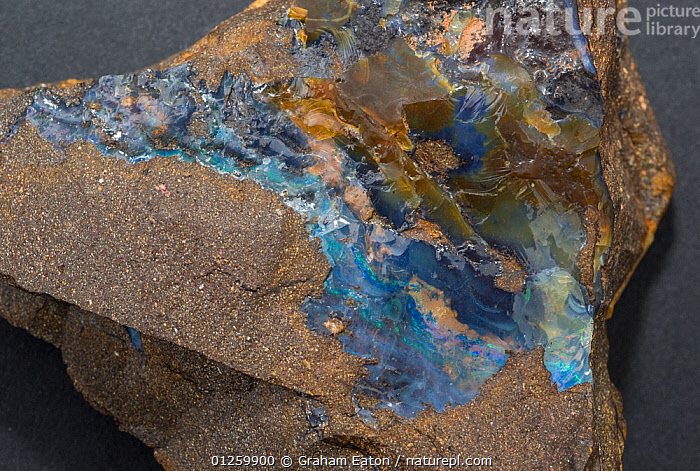 Stock photo of Opal, hydrated silica, SiO2 nH2O, from Australia ...
