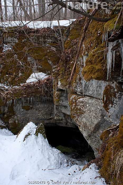 Stock photo of The entrance to Vermont's largest bat hibernacula ...