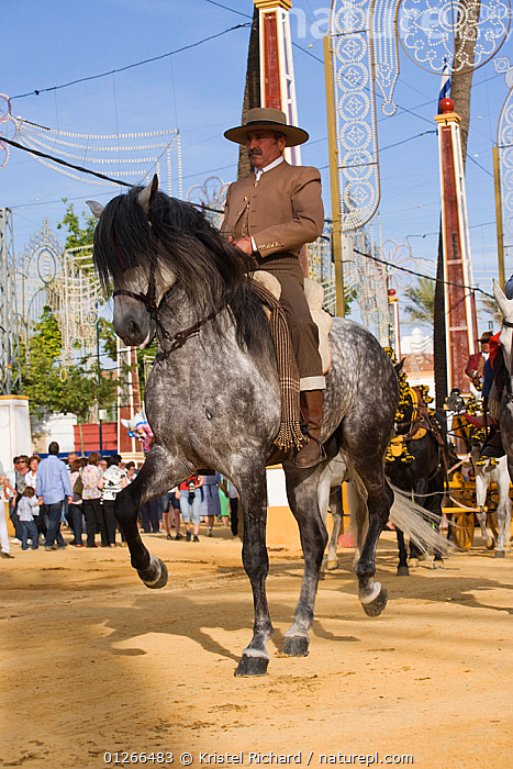 Stock photo of A traditionally dressed Andalusian gentleman parades ...