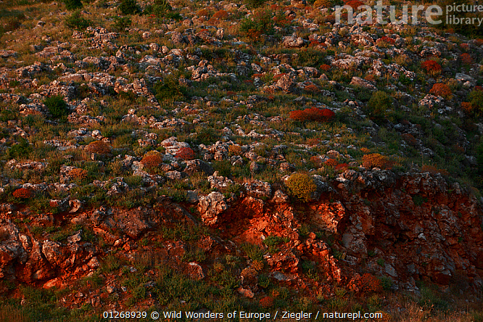 Stock photo of Rock strewn landscape in red light, Mani Peninsula, The ...