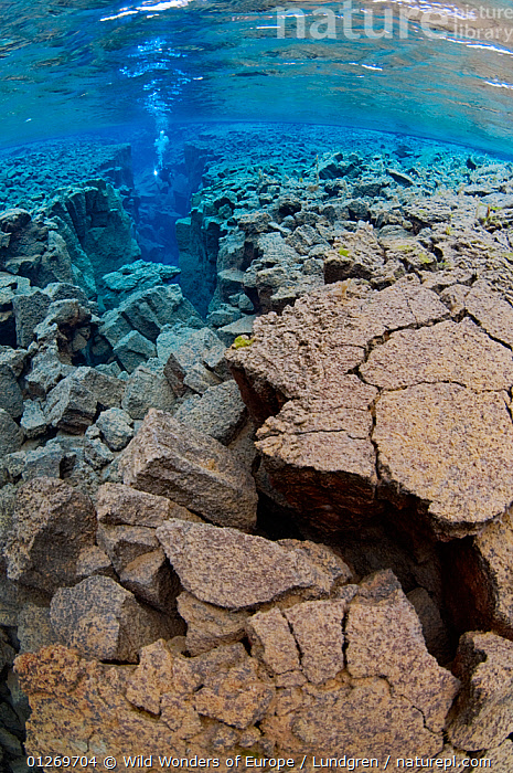 Stock photo of Underwater landscape showing the tectonic boundary ...