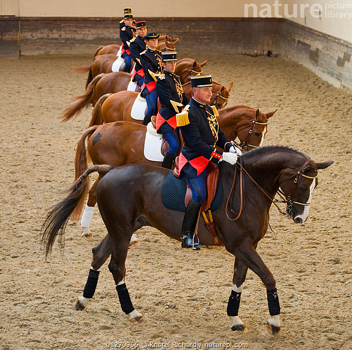 Stock photo of Mounted officers of the Garde R?blicaine (Republican ...