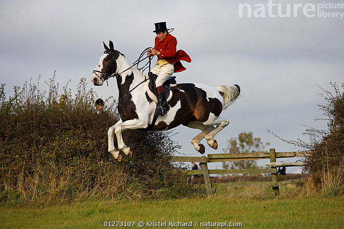 Fox Hunting Dress Code