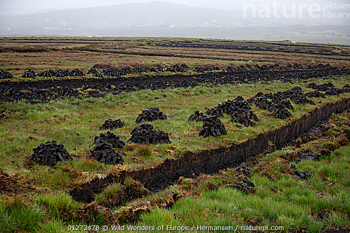 Stock photo of Peat bog with blocks dug out, Bloody Foreland, County ...