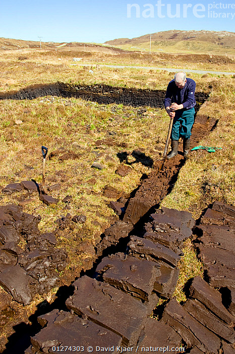 Stock photo of Man cutting peat, North Uist, Outer Hebrides, UK, May ...