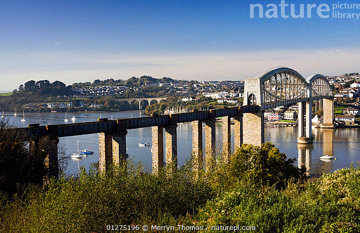 Stock photo of Royal Albert Bridge (built by Brunel), Saltash, Cornwall ...
