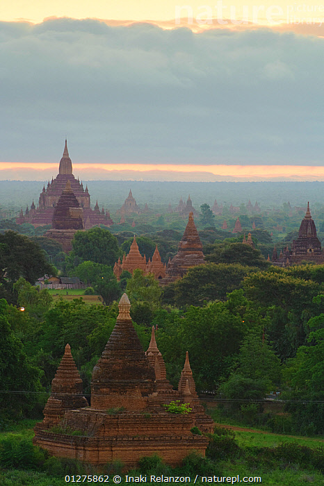 Stock photo of Temples in Old Bagan, UNESCO World Heritage, Mandalay ...