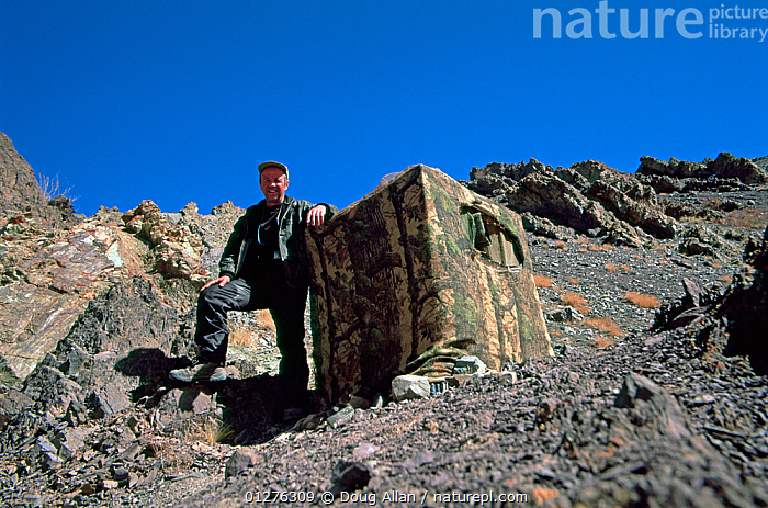Stock photo of Doug Allan next to hide for filming Snow leopards for ...