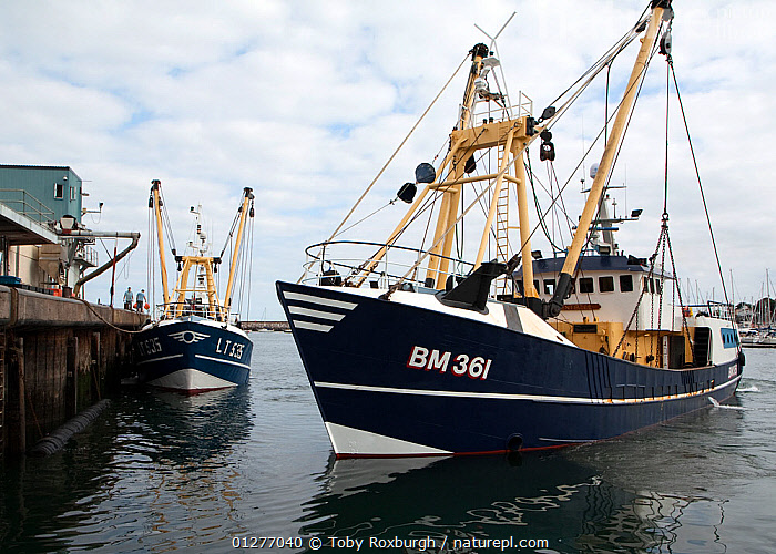 Stock photo of Beam trawler arriving in Brixham harbour to unload its ...