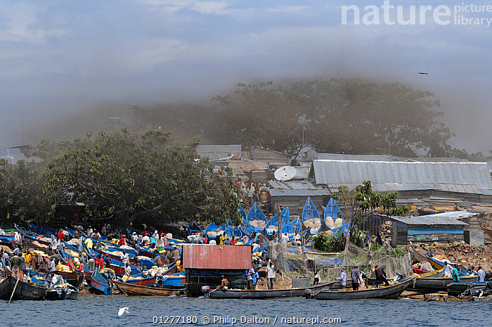 Stock photo of Fishing village on the shores of Lake Victoria with ...