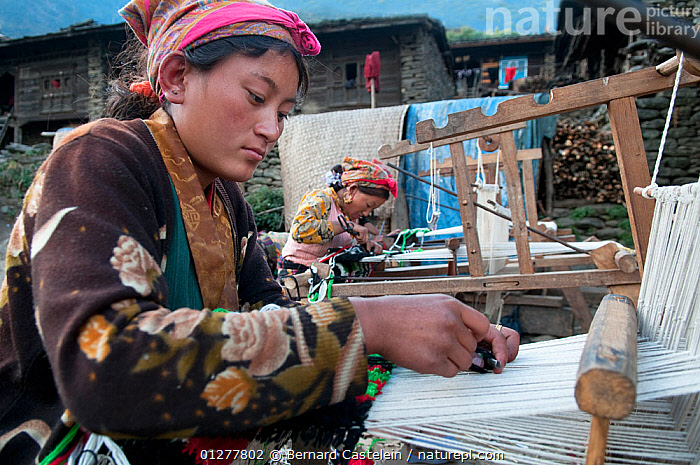 Stock photo of Woman weaving, Tamang ethnic group, Tamang heritage ...