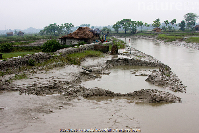 Stock photo of View of river showing how reduced river flow leads to ...