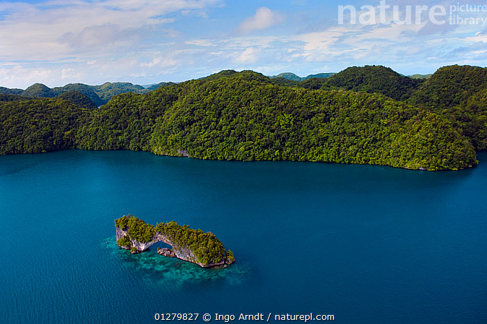 Stock photo of Aerial view of natural bridge rock, Rock Islands, Palau ...