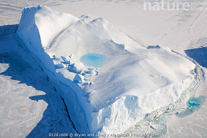 Stock photo of Pool of water collecting on top of thawing Iceberg ...