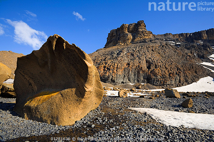 Stock photo of Weathered volcanic rocks stand on the beach at Brown ...