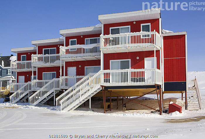 Stock photo of Modern Arctic homes built on piles driven into the ...