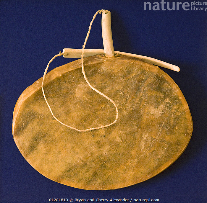 Stock photo of Inuit drum made from sealskin and used for traditional ...