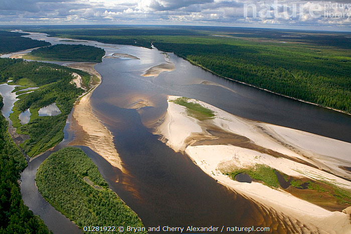 Stock photo of Piaku-Pur River flowing through boreal forest near Tarko ...