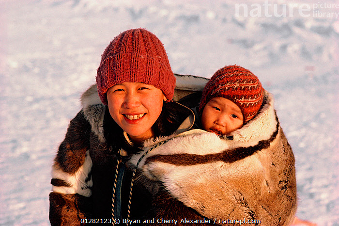 Stock photo of Inuit woman carrying her baby in an Amaut (hooded parka ...