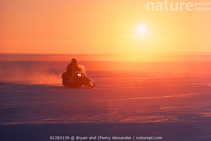 Stock photo of Inuit hunter crossing the tundra on his snowmobile at ...