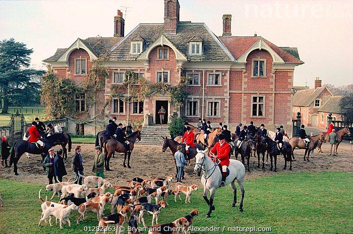 Stock photo of Portman Hunt meet at Fontmell Parva House. Dorset ...