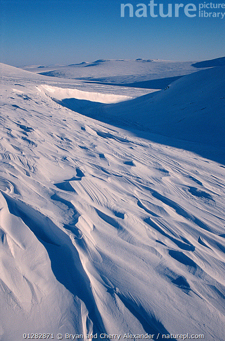 Stock photo of Sastrugi, wind carved patterns in the snow, on snow ...