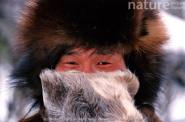 Stock photo of Evenk man warming his nose with Reindeer skin mitten ...