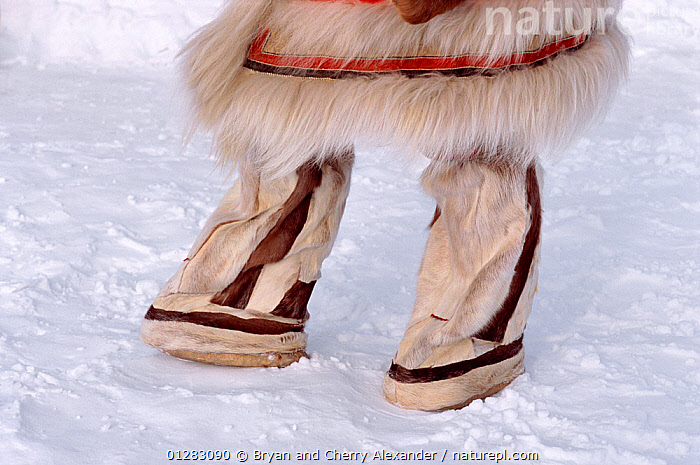 Stock photo of Nganasan woman wearing traditional cylindrical Reindeer ...