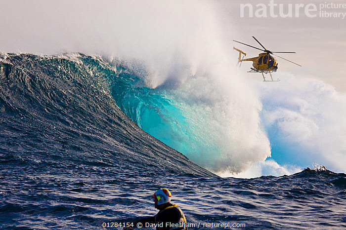 Stock photo of Helicopter filming a tow-in surfer at Peahi (Jaws) off Maui, Hawaii. Man ...