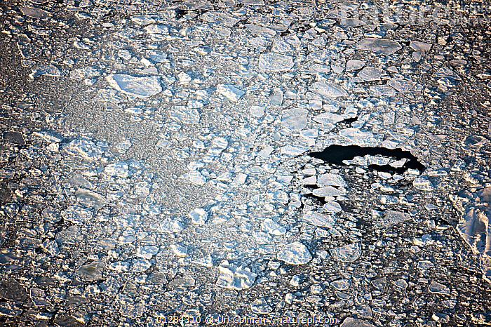 Stock photo of Aerial view of the pack / sea ice, breaking up and ...