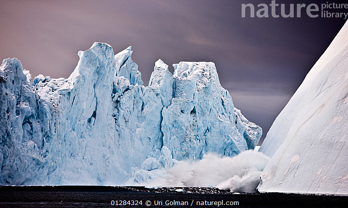 Stock photo of Snow avalanche falling into sea, Jakobshavn, Ilulissat ...