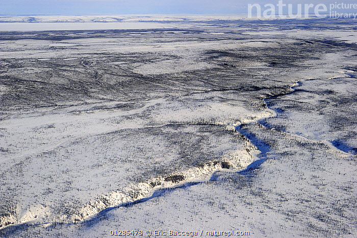 Stock photo of Aerial view of Mackenzie delta in winter, North West ...