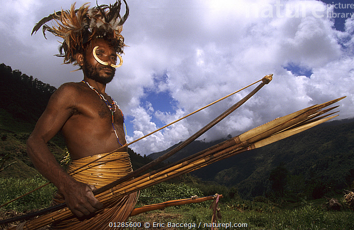 Stock photo of Portrait of Yali hunter in traditional dress, with nose ...
