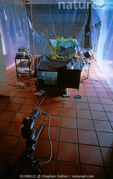 Stock photo of Photographic set-up in Stephen Dalton's studio for ...