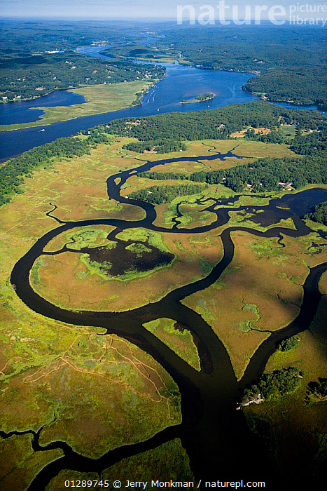 Stock photo of Aerial view of wetlands near the Connecticut River in ...