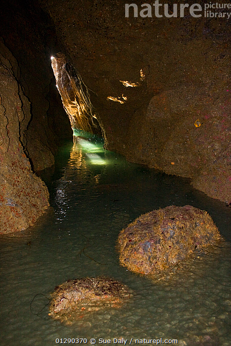 Stock photo of Inside the Gouliot Caves, Sark, Channel Isles, UK, 2009 ...