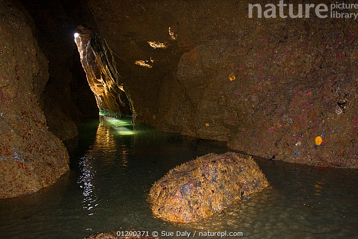 Stock photo of Inside the Gouliot Caves, Sark, Channel Isles, UK, 2009 ...