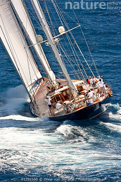 Stock photo of Ketch "Rebecca" sailing at the Panerai Antigua Classic ...