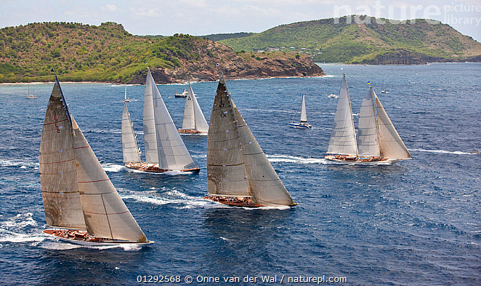 Stock photo of Fleet of classic yachts racing at the Panerai Antigua ...
