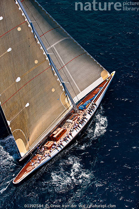 Stock photo of J-Class "Ranger" at the Panerai Antigua Classic Yacht ...