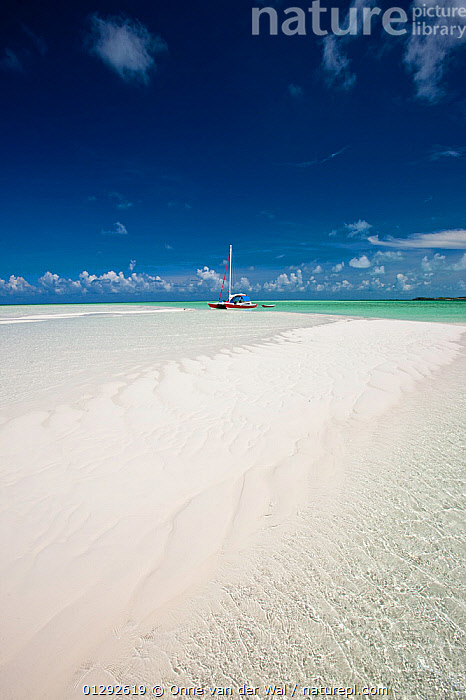 Stock photo of 30ft Tiki catamaran "Abaco" pulled up near sand bank in ...