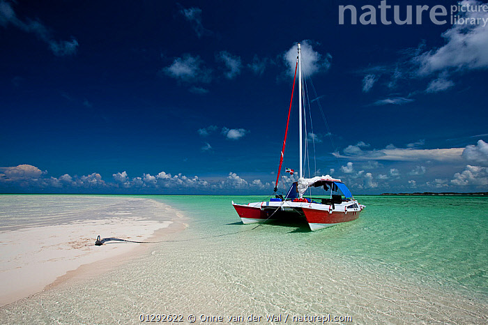 Stock photo of 30ft Tiki catamaran "Abaco" anchored by sand bank in the ...