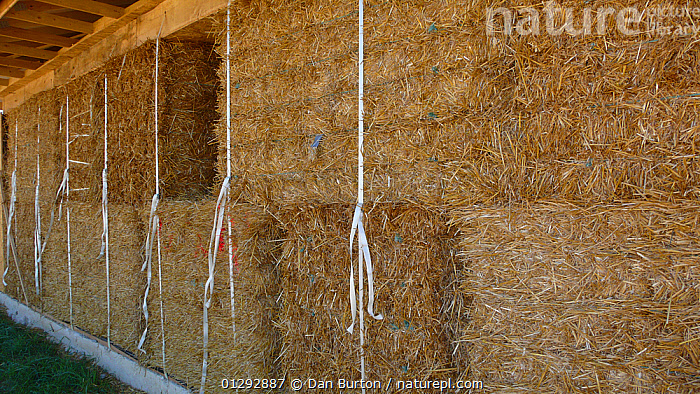Stock photo of House being built using straw bales, an ideal material ...