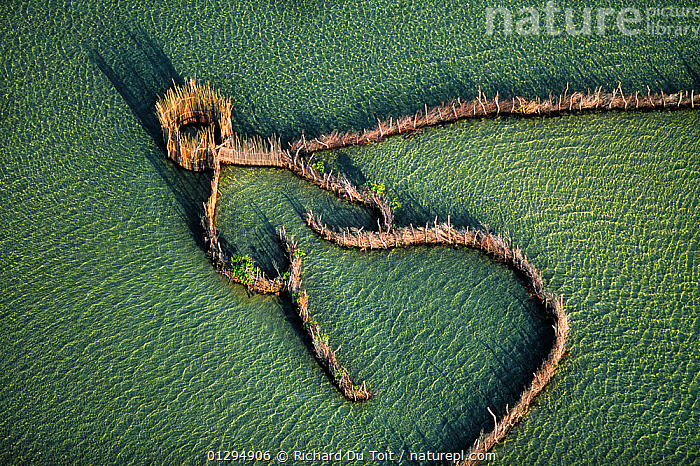 Stock photo of Aerial view of traditional fishing fences for trapping ...
